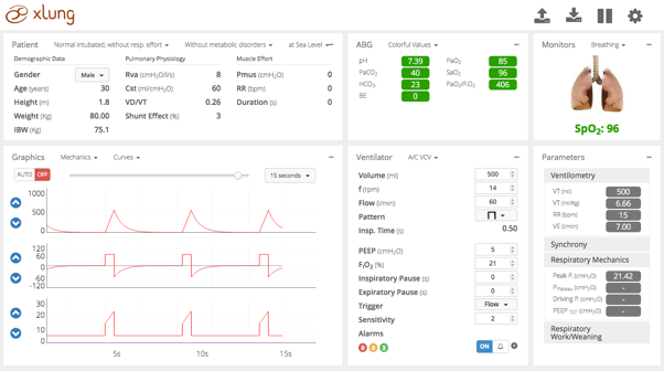 Xlung Simulator - xlung.net