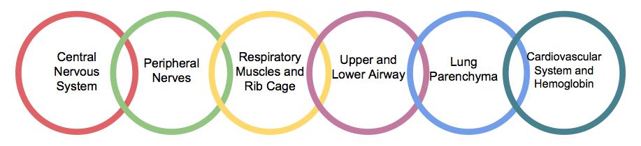 Mechanical Ventilation Manual - Acute Respiratory Failure ...